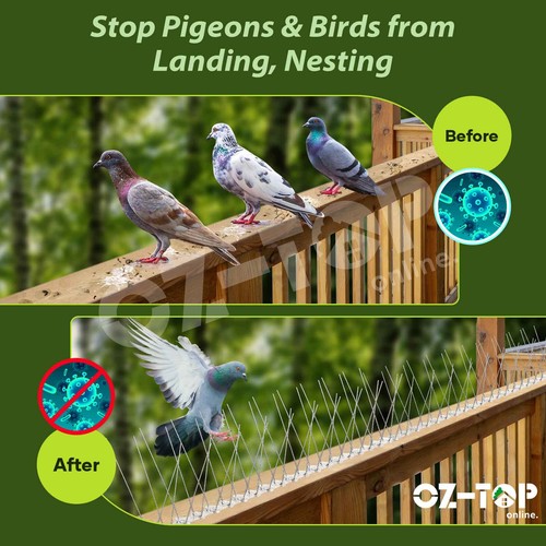 20pcs Anti Bird Spike Kit Deterrent Repellent Pigeon Pest Control Fence ...