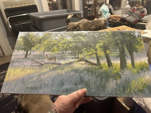 Sue Messerly Oil Painting Print Light And Shadow | eBay