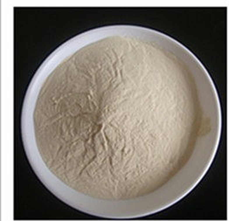 Chitosan Powder