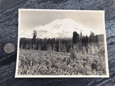 Antique Original c1907 Charles C. R. Miller Mt. Shasta California Photo ...