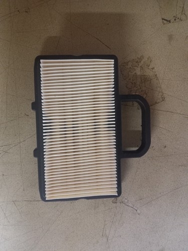 Briggs and Stratton 792101 Flat Air Filter Cartridge | eBay