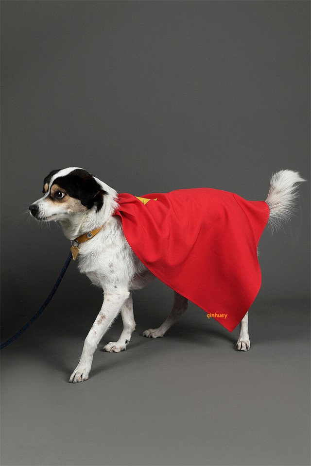 Superman Superdog Cape Krypto Cosplay Cloak Dog Pet clothing | eBay