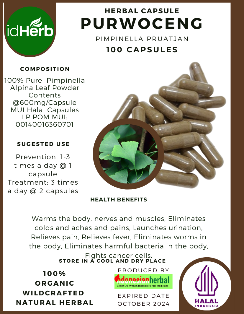 [idHerb] CAPSULES PURWOCENG PIMPINELLA PRUATJAN NATURAL ORGANIC HERBAL ...