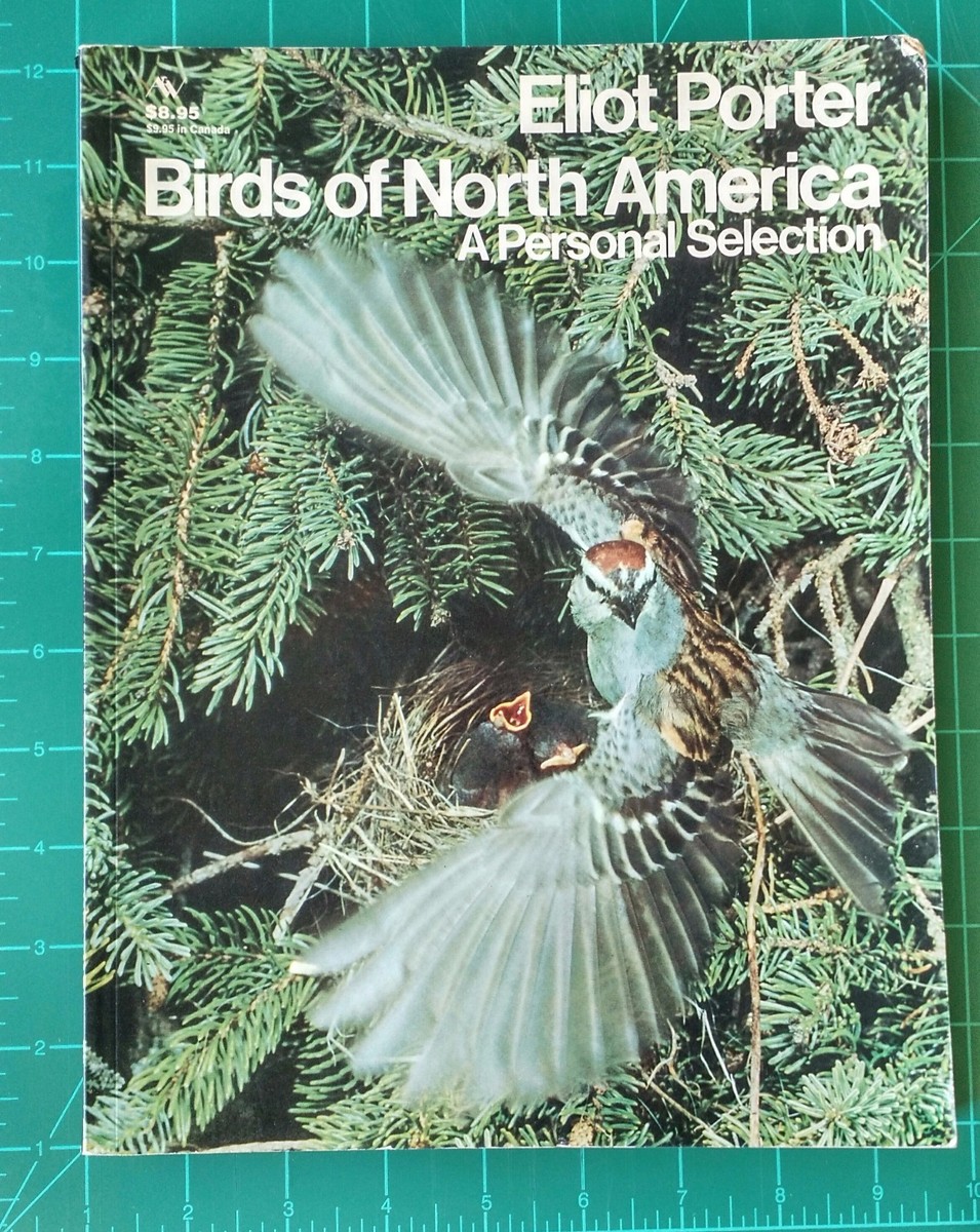 Eliot Porter Birds