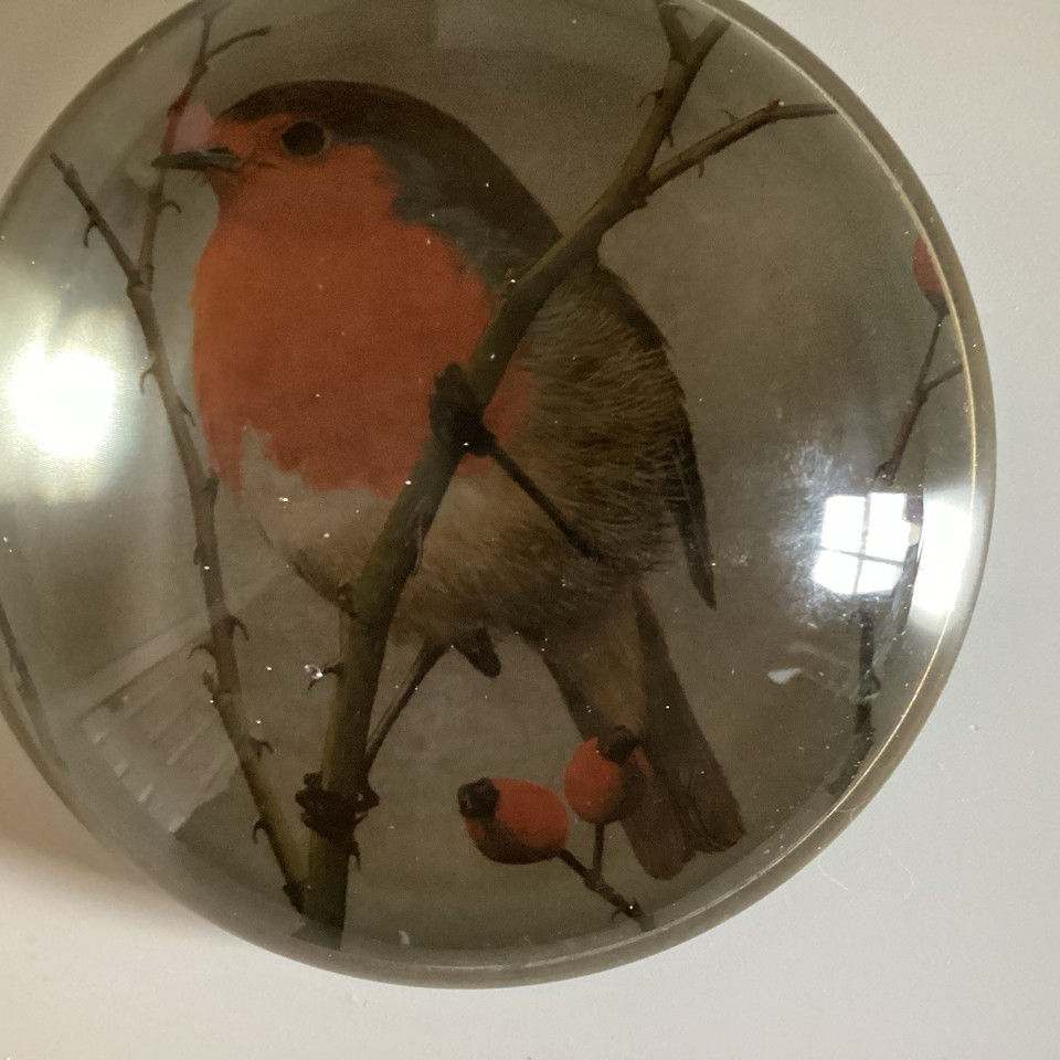 NIGEL PAIN ROBIN by P.D.Whalley PAPERWEIGHT Vintage Antique | eBay