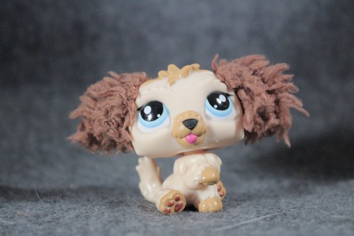 Authentic Littlest Pet Shop LPS Brown Tan Fluffy Ear Labradoodle #2421 ...