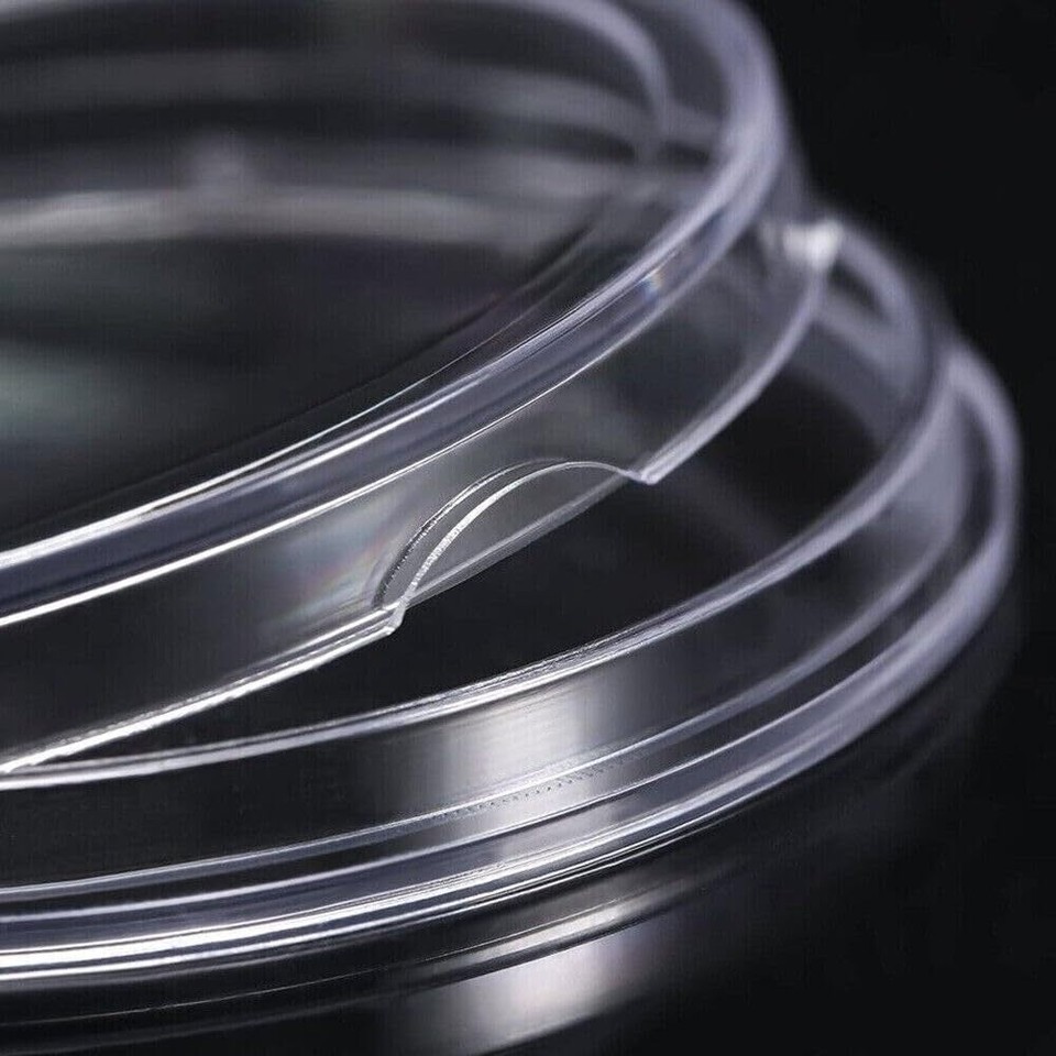 100Pcs 19mm 0.75inch Coin Holder Capsule Clear Round Storage for US ...