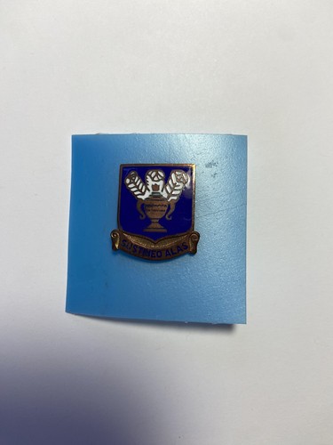 US Military Army Air Force, “Sustino Alas” Pin | eBay