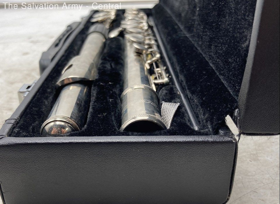 Hisonic Silver Tone Instrument Orchestral Treble Flute With Carrying ...