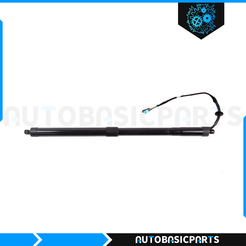 For 2010-2013 Porsche Panamera 1 Pcs Rear Liftgate Lift Supports Shocks ...