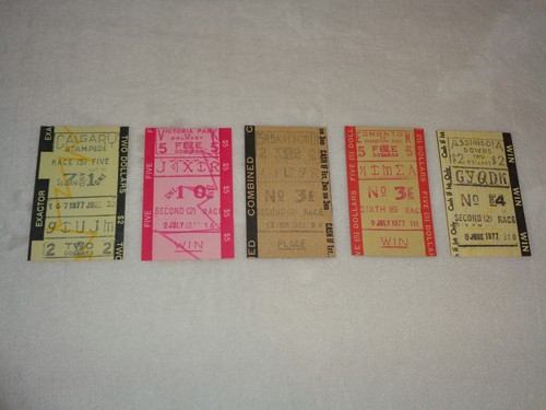 1977 Calgary Stampede Edmonton Saskachimo Victoria Park (5) Horse ...