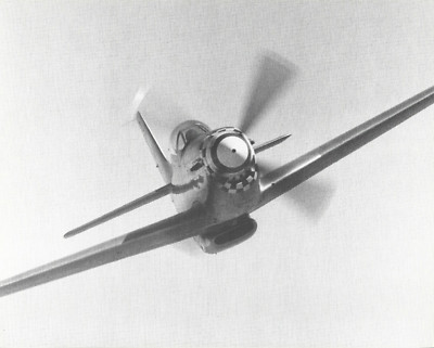 North American P-51D Mustang modified Airplane Racing, Vintage ...