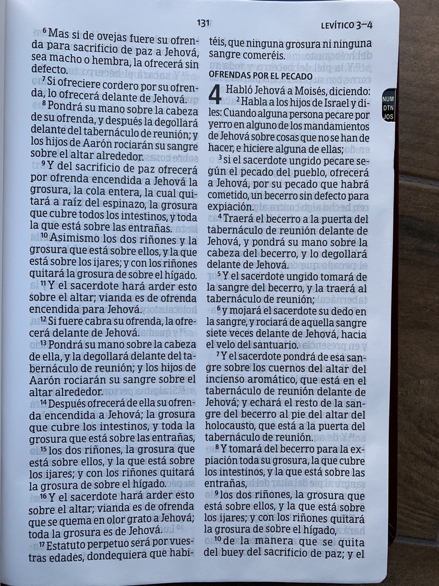 Que Son Los Ijares En La Biblia Reina Valera 1960 - Infoupdate.org