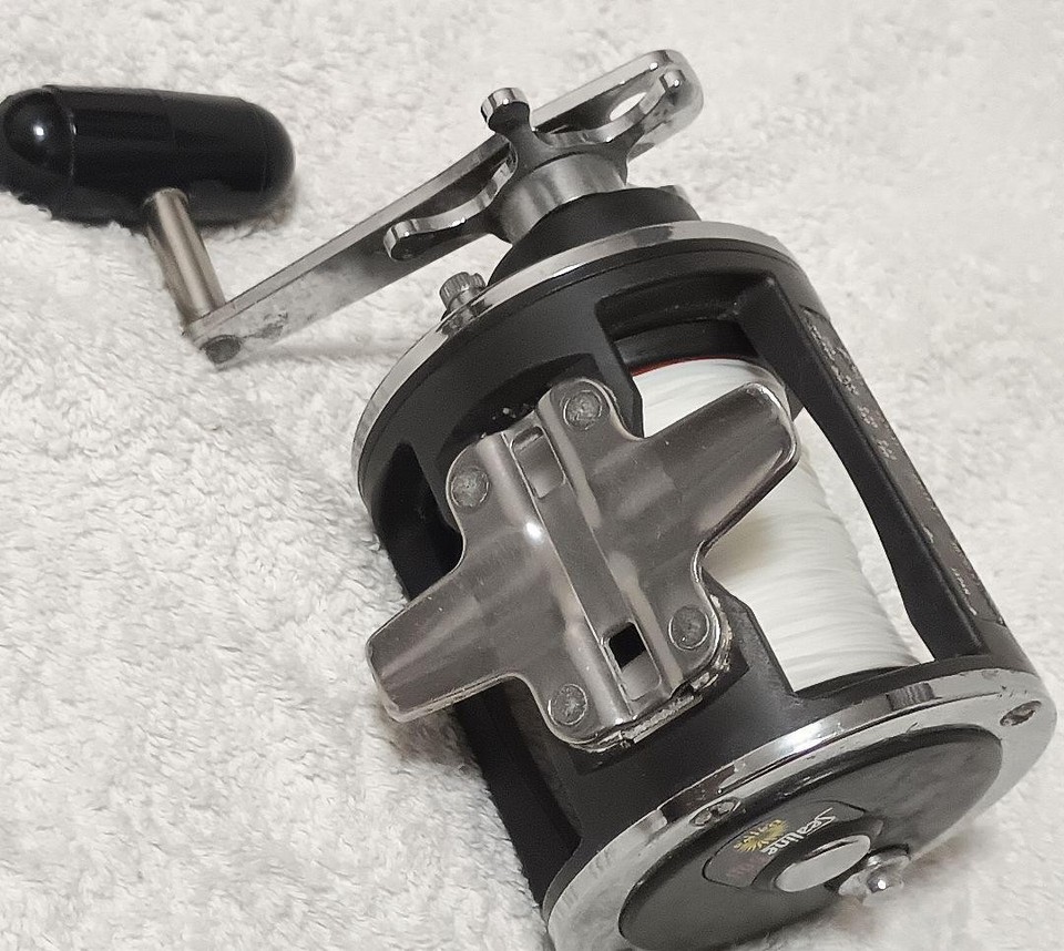 Daiwa Sea Line 50H Double Axis Reel Saltwater Fishing, Used | eBay