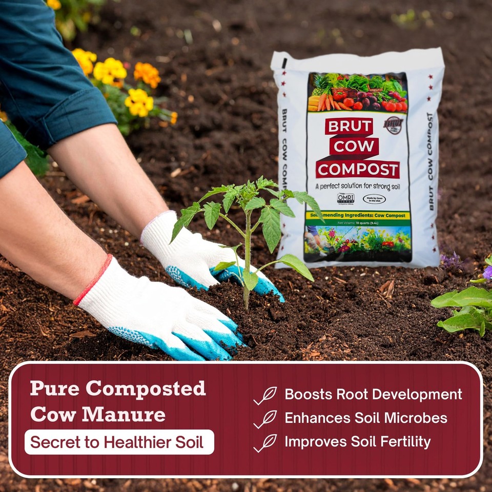 Brut Cow Compost – Nutrient-Rich Composted Cow Manure Organic Soil ...