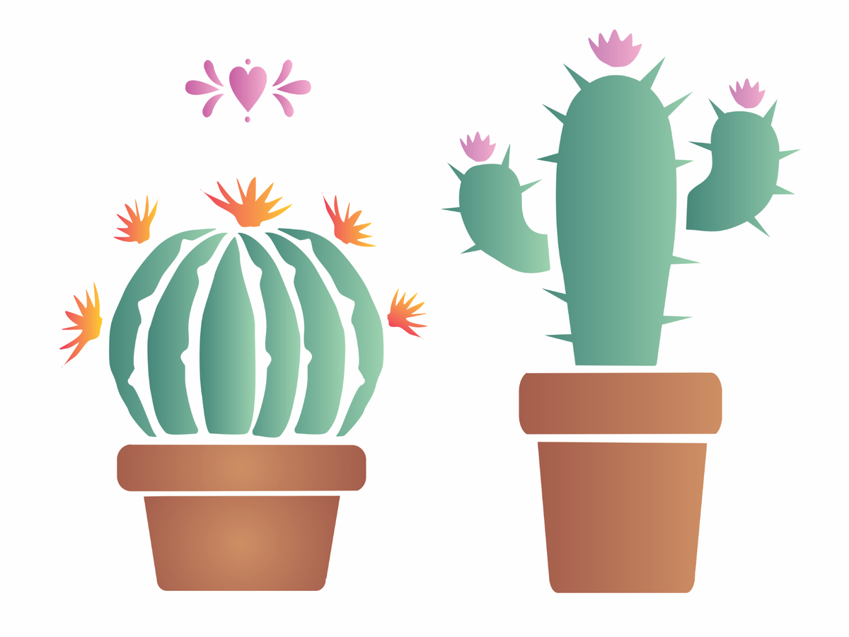 Barrel Cactus Drawing