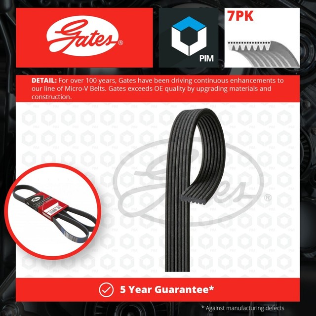 7 Rib Multi V Drive Belt Fits BMW 535d 3.0d 10 to 12 N57d30b Gates ...