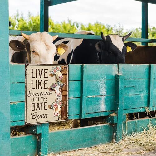 Funny Cow Signs - Live Like Someone Left The Gate Open, Cows Metal Sign ...