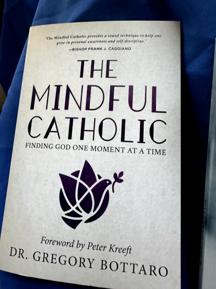 "I Heard God Laughing" & "The Mindful Catholic" - 2 soft cover CATHOLIC ...