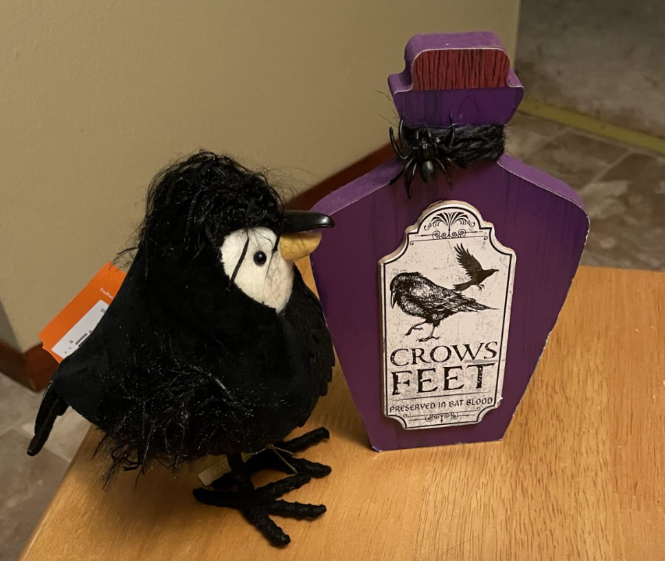 Target Hyde & Eek Halloween Featherly Friends Shadow Raven/Crow Bird ...