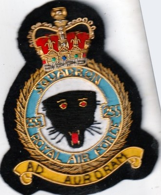 England Air Force No. 255 Squadron RAF gold bullion patch | eBay