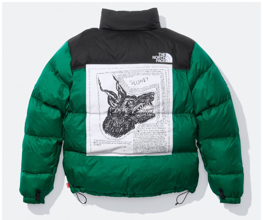 Supreme The North Face Nuptse Jacket 2024 FW Week9 Red Green Black ...