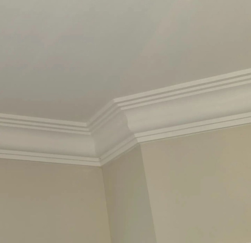 Traditional Ogee Style Plaster Coving 100mm x 85mm CR242S - SAMPLE ...