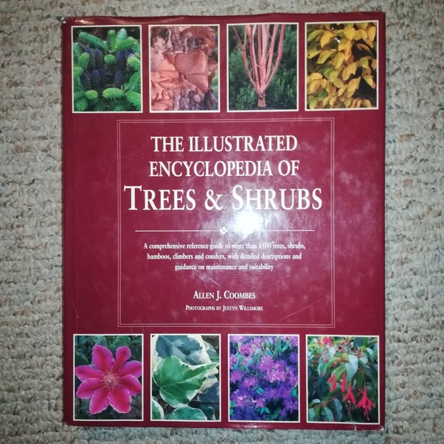 The Illustrated Encyclopedia of Trees and Shrubs by Allen J. Coombes ...