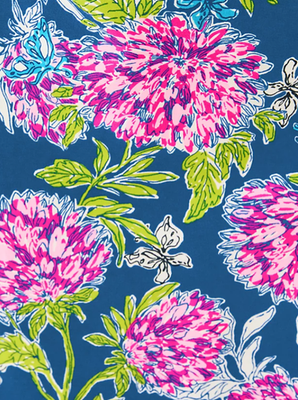 NWT Lilly Pulitzer Kyrie 3/4 Sleeve Dress Multi Dahlia Licious