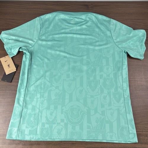 Nike Dri-FIT Liverpool F.C. Academy Football PreMatch Top FN9653-393 ...