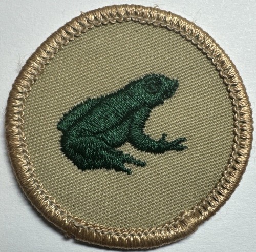 BSA Green Frog Patrol Patch | eBay