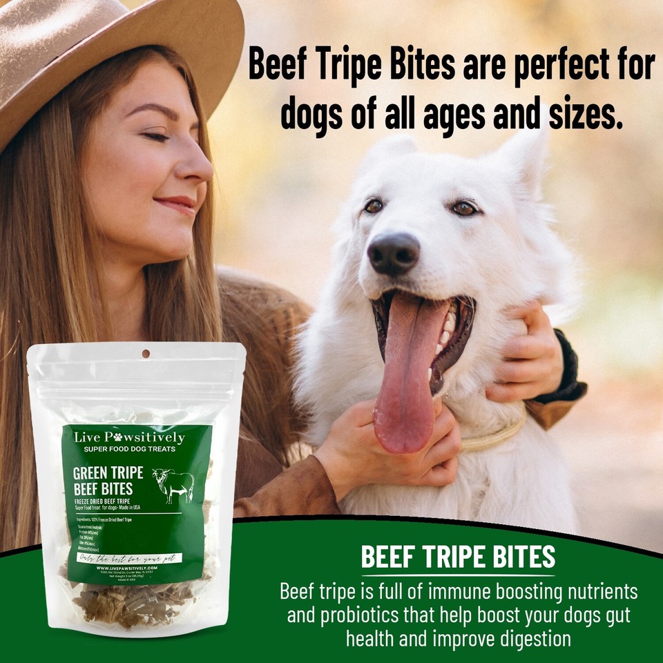 Freeze Dried Dog Food Booster /treat Green Tripe Beef Bites, Live ...