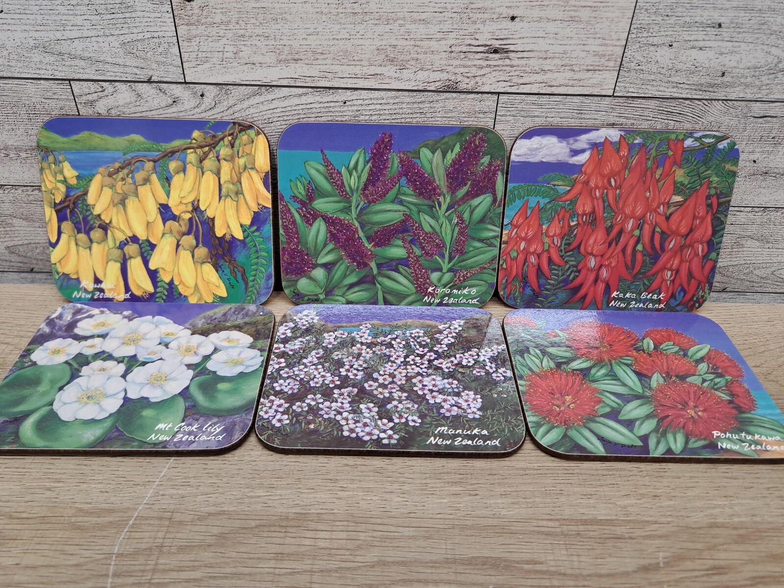 Jason Coasters - Native Flowers of New Zealand Set of 6 - Cork Backed ...