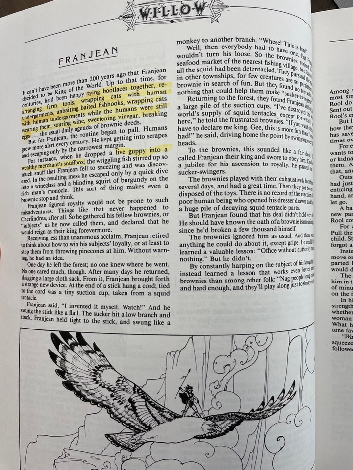 The Willow Sourcebook, Allen Varney, 1988 Tor, vintage RPG RARE! D&D compatible 9780312930837 | eBay