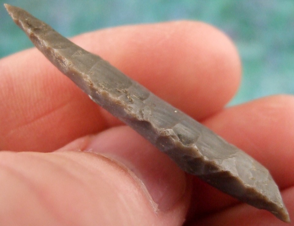 Rare Super Fine G10 Kentucky Paleo Wheeler Point with COA Arrowheads ...