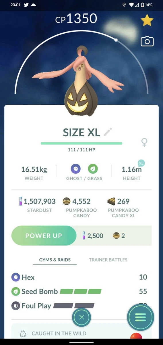 Pumpkaboo Evolution Chart