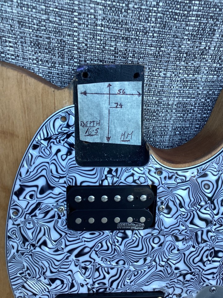 Telecaster Fully Loaded Guitar Body | eBay UK