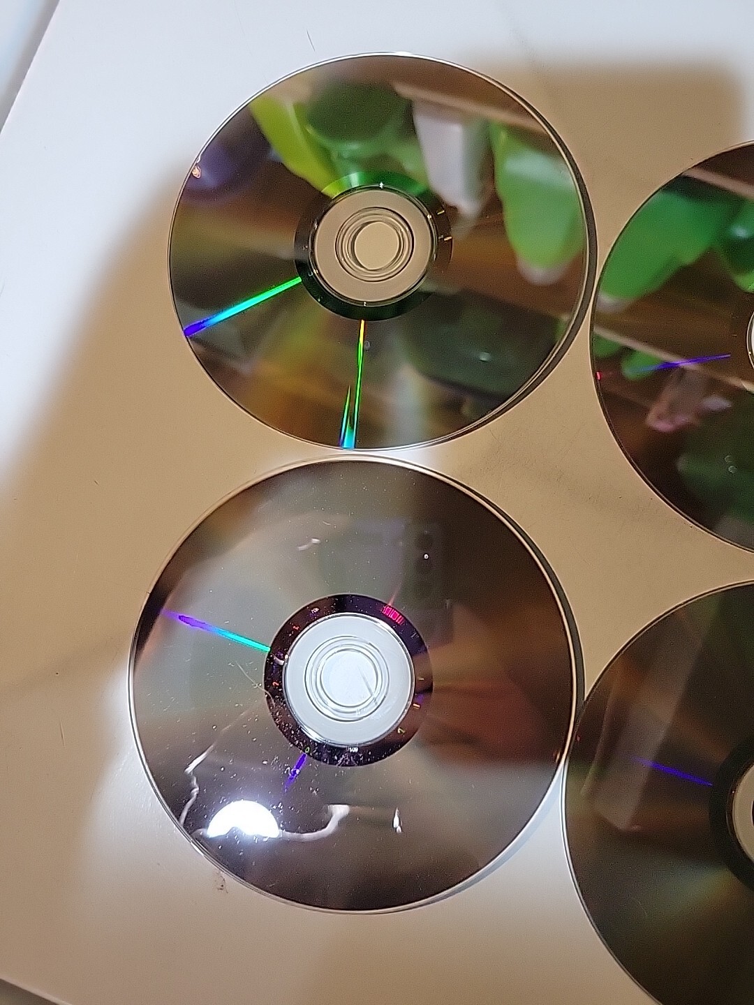 American Horror Story-Coven: the Complete Third Season (DVD ...