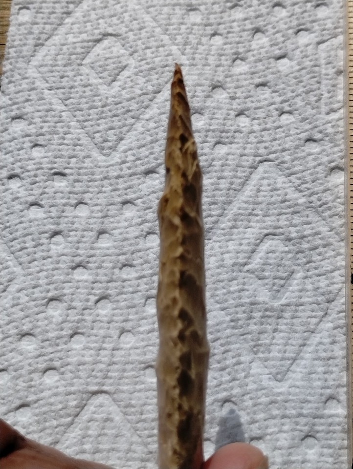 Dalton Spear Point Projectile Arrowhead Indian Artifact | eBay