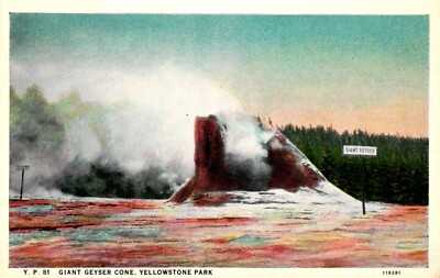 Giant Geyser Cone Yellowstone Park Wyoming Postcard | eBay