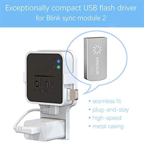 256GB Blink USB Flash Drive for Local Video Storage with The Blink Sync ...