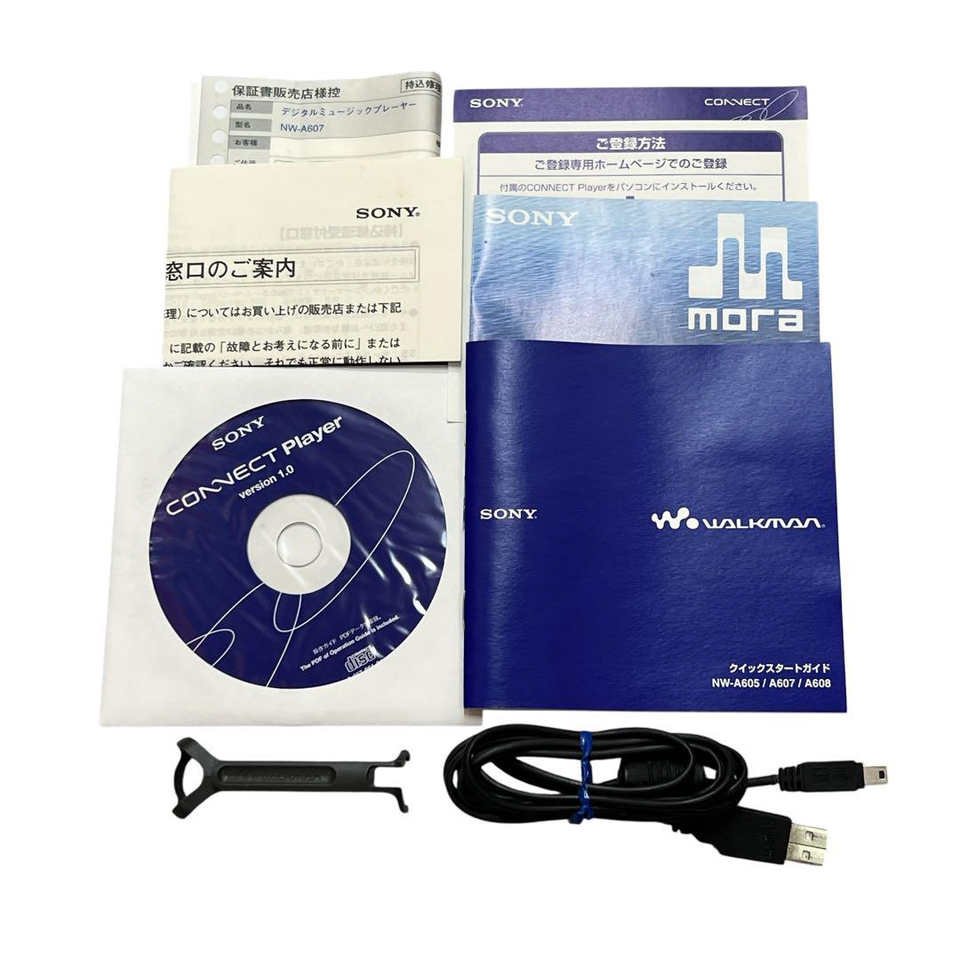 Sony NW-A607 Blue Digital Walkman Tested Working Japan W/Box | eBay