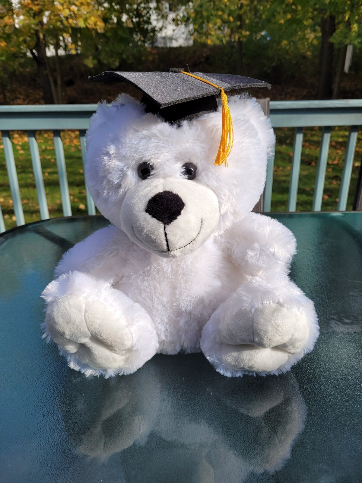 Teddy Bear Plush Stuffed Animal 11'' White Black Hat Graduation Dandee ...