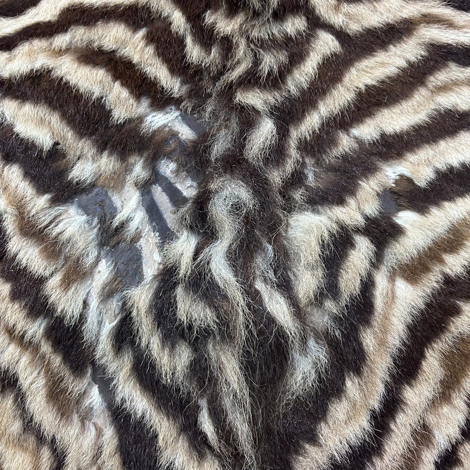 Real Zebra Skin Baby Size Real Zebra Hide D973 SMALL Size: 47X 37 ...
