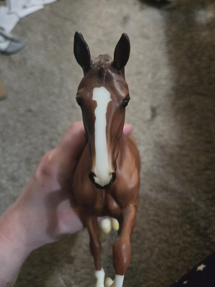 Breyer Mistral Hojris #1480 Chestnut Keltic Salinero Mold 2012-2013 ...