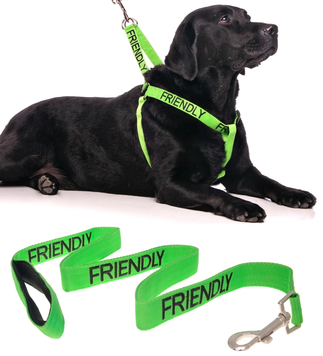 How Long Is A Standard Dog Lead