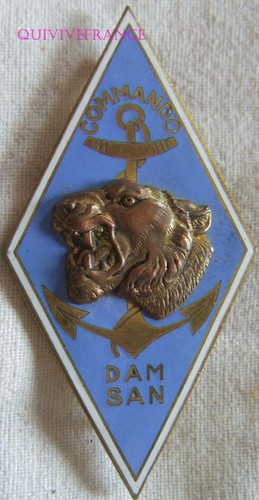 IN30357 - INSIGNE Commando DAM - SAN, émail, dos lisse | eBay