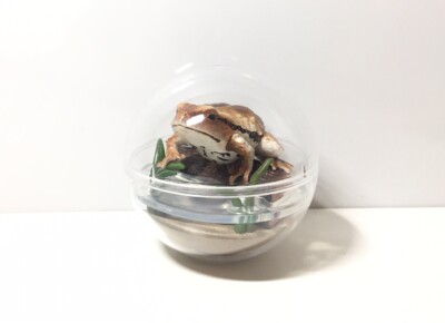 Japan Exclusive Qualia Caprium Collection Toad Frog Animal Figure | eBay