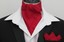 Plain Red Cravat 100% Cotton Ascot Cravat & Handkerchief-More Colours ...