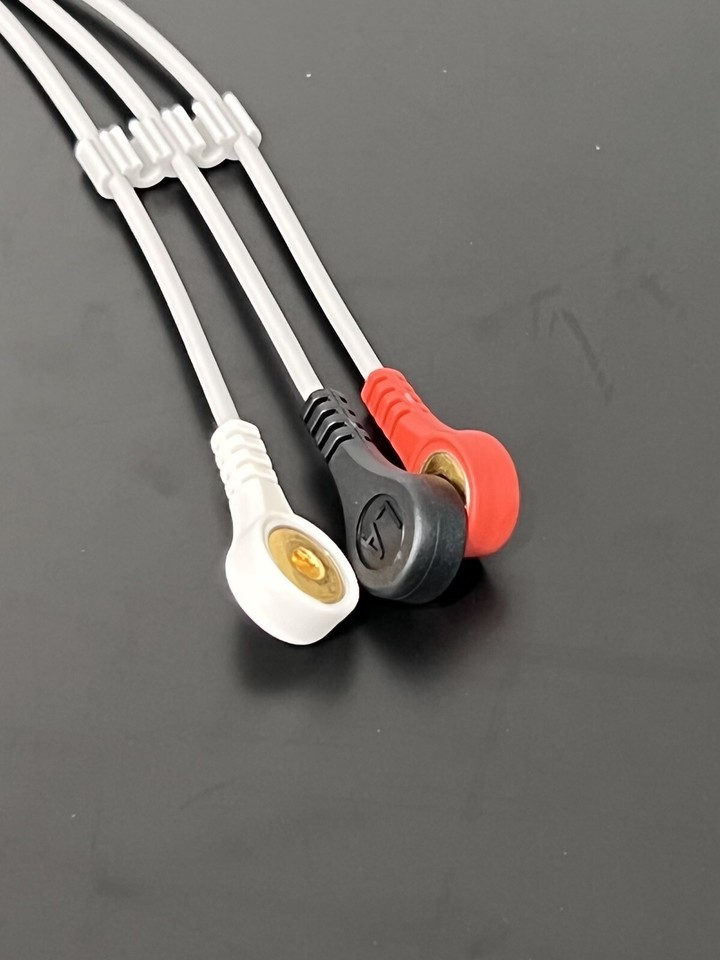 Physio-Control 11110-000029 Lifepak LP12 LP15 LP20 Compatible 3L Snap ...